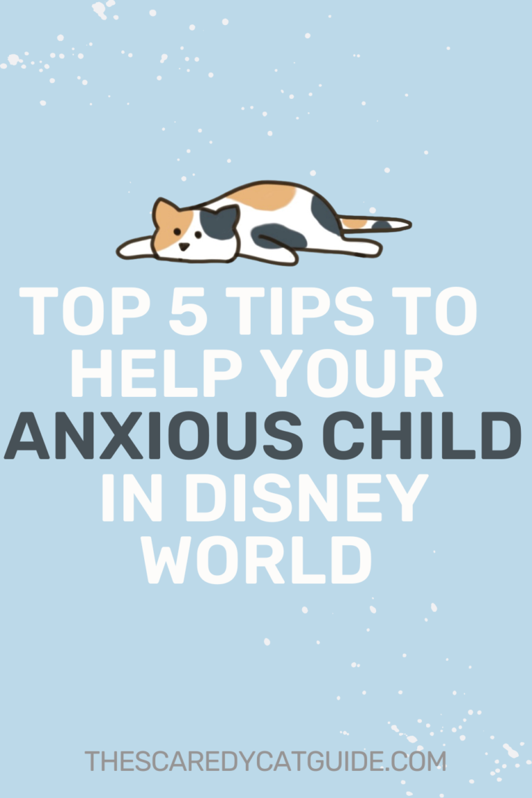5 Quick Tips to Help Your Anxious Child in Disney World - Everything ...